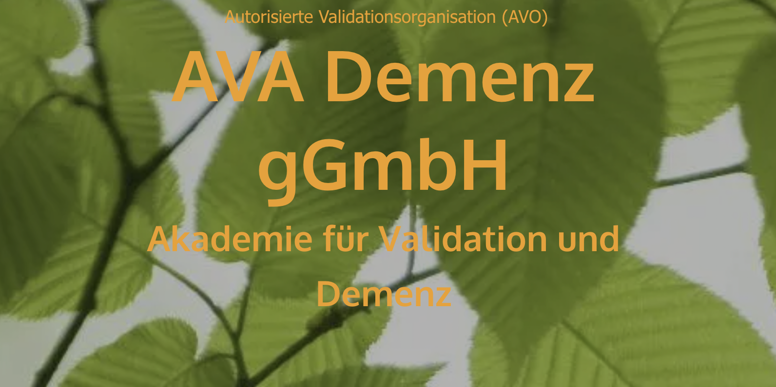New AVO in Southern Germany: AVA Demenz gGmbH (Academy for Validation ... New AVO in Southern Germany: AVA Demenz gGmbH (Academy for Validation ...