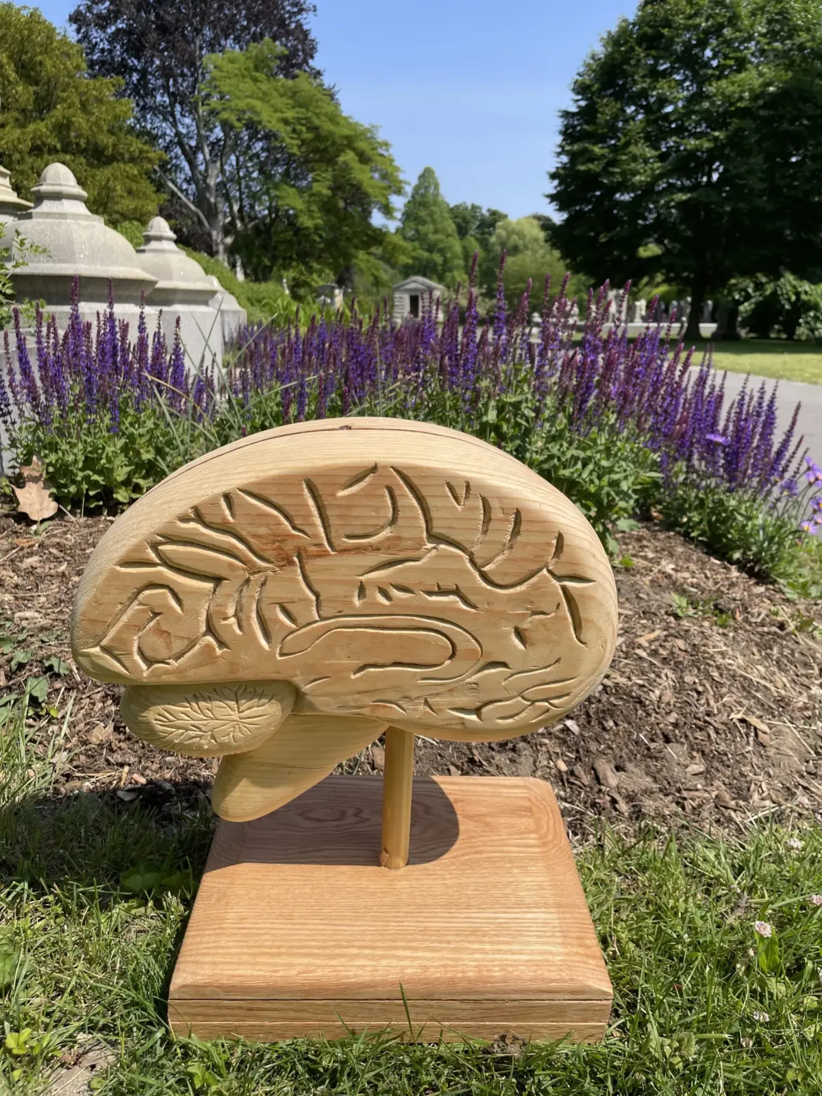 Time to Hold Alzheimer's Association Accountable by Eilon Caspi ...