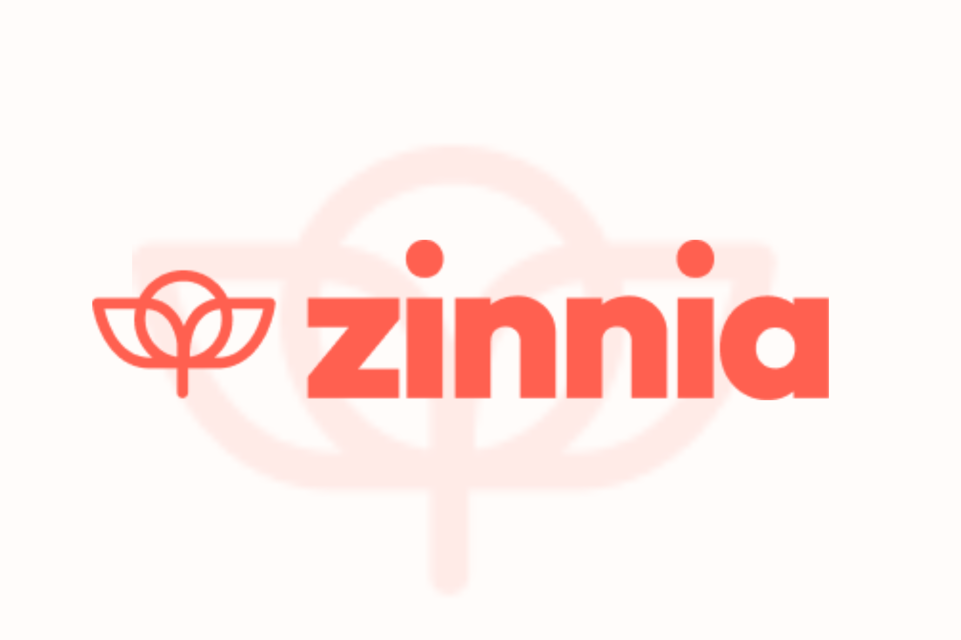 Partner Feature: Zinnia TV - Validation Training Institute